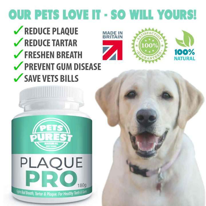 100% Natural Premium Plaque Control - A Dog's Life